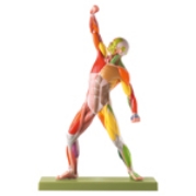 Products - Adam,Rouilly