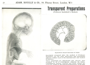Our History | Adam,Rouilly