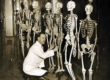 Our History | Adam,Rouilly