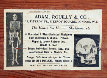 Our History | Adam,Rouilly