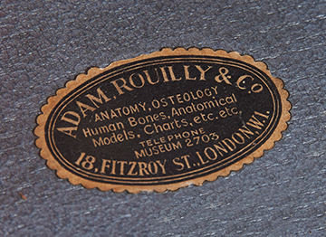 Our History | Adam,Rouilly