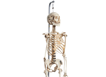 Our History | Adam,Rouilly