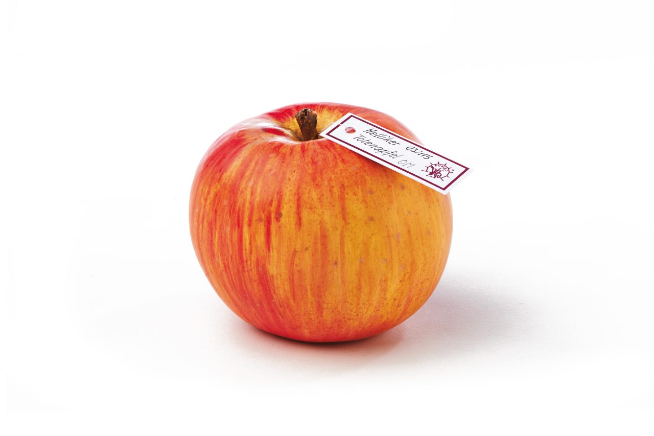 Totenapfel Von Hellikon - Adam,Rouilly