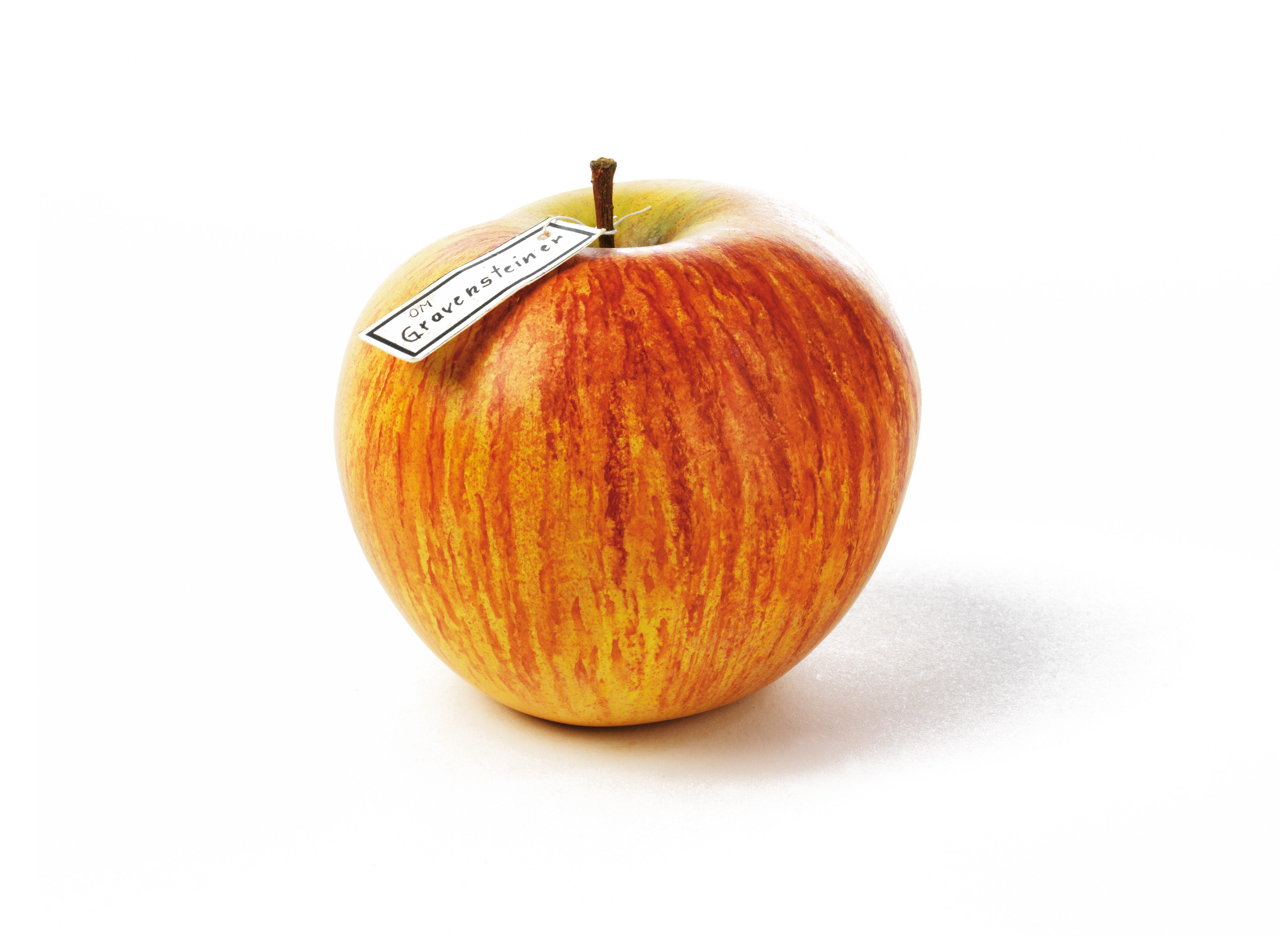 Gravenstein - Adam,Rouilly