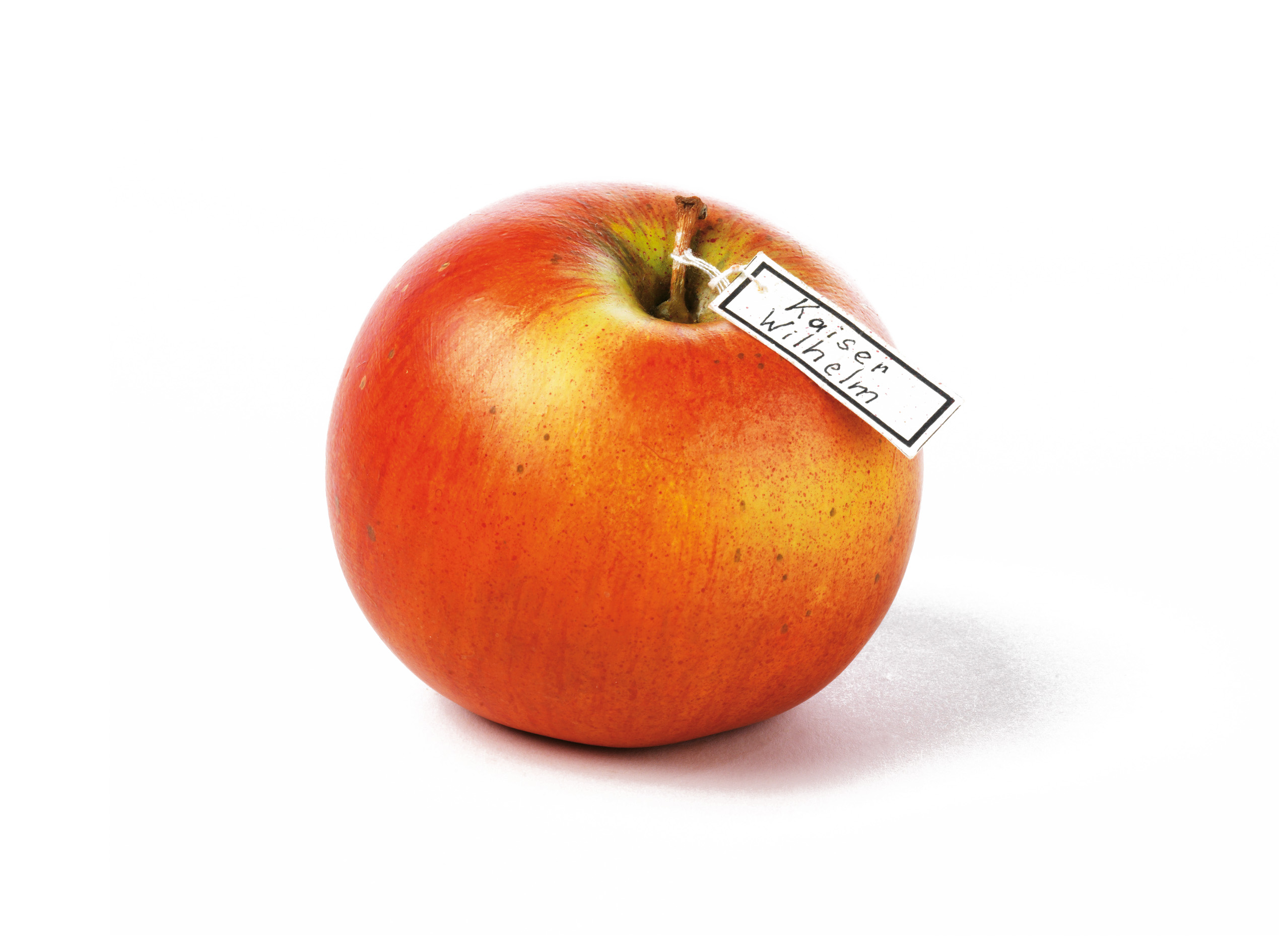 Kaiserwilhelm - Adam,Rouilly