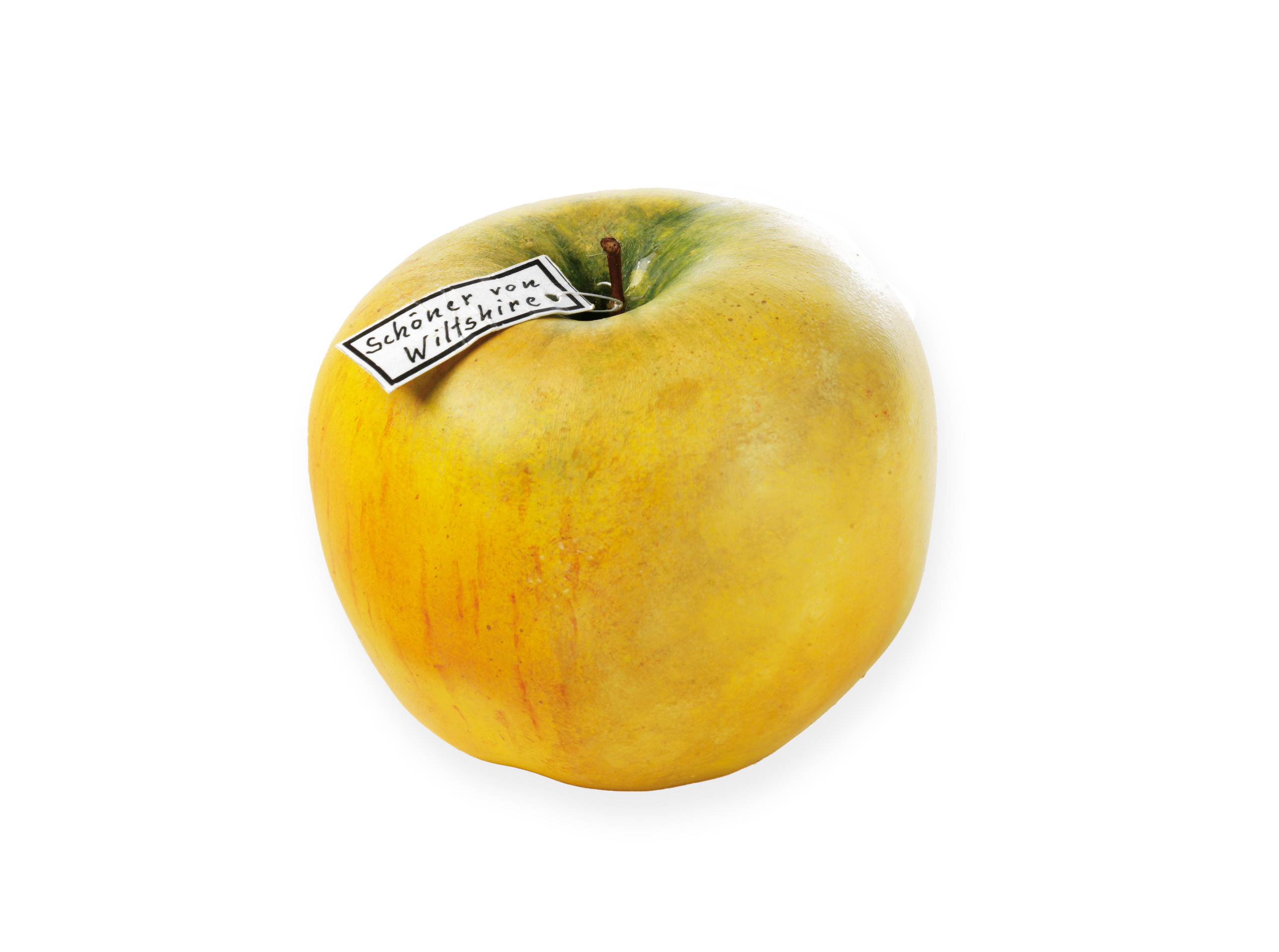 Wiltshire Beauty - Adam,Rouilly