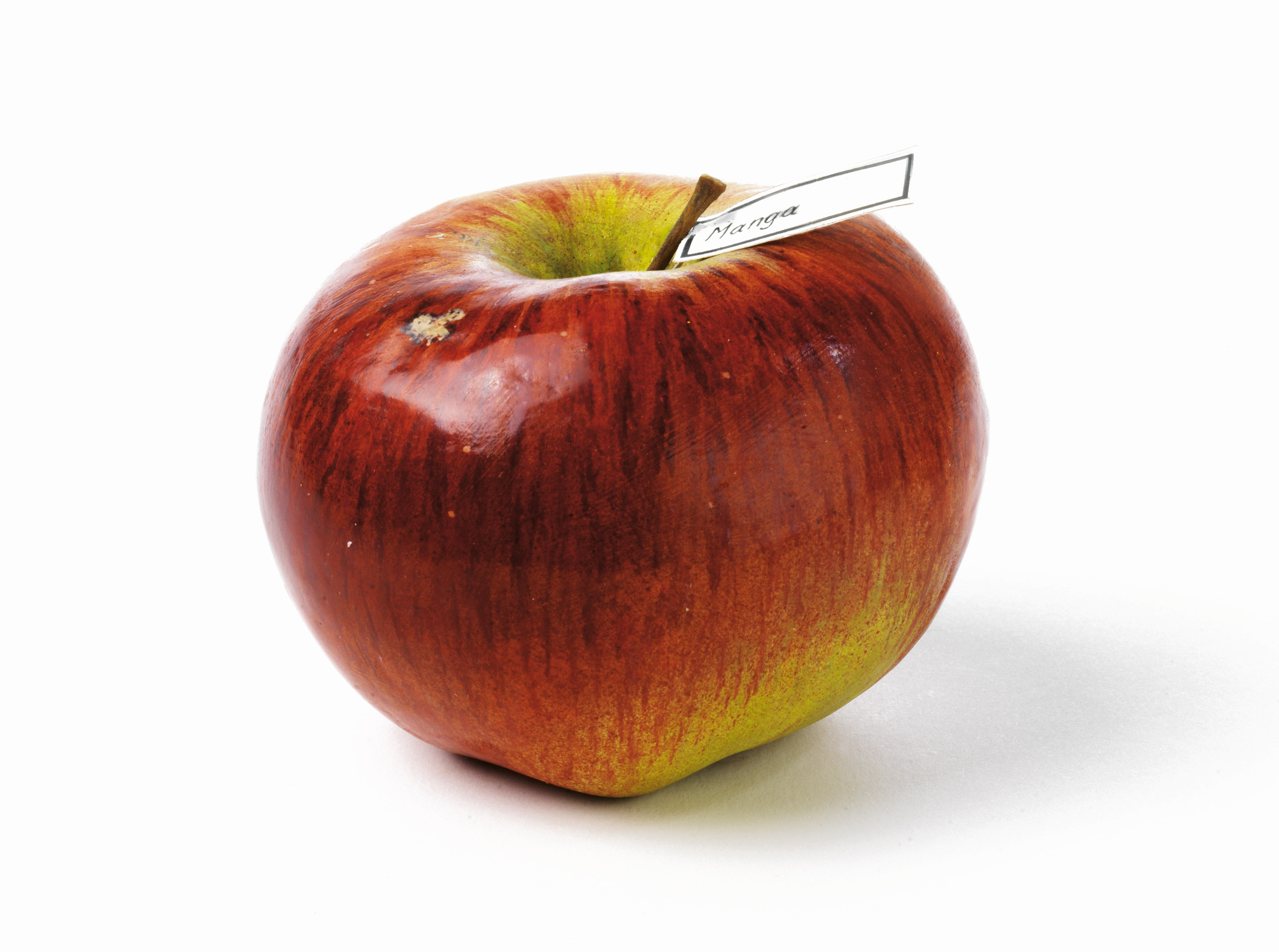 Manga - Adam,Rouilly