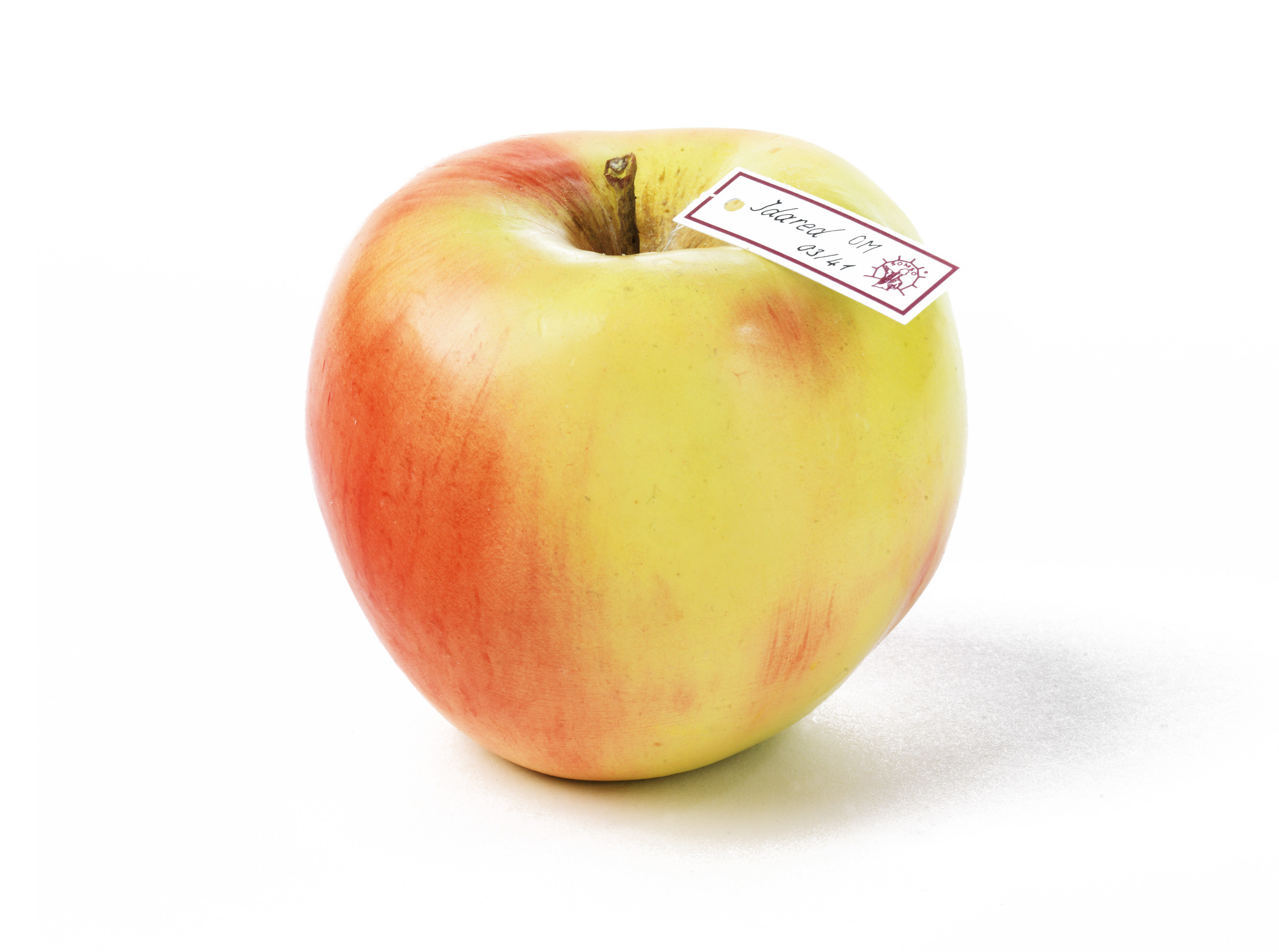 Idared - Adam,Rouilly