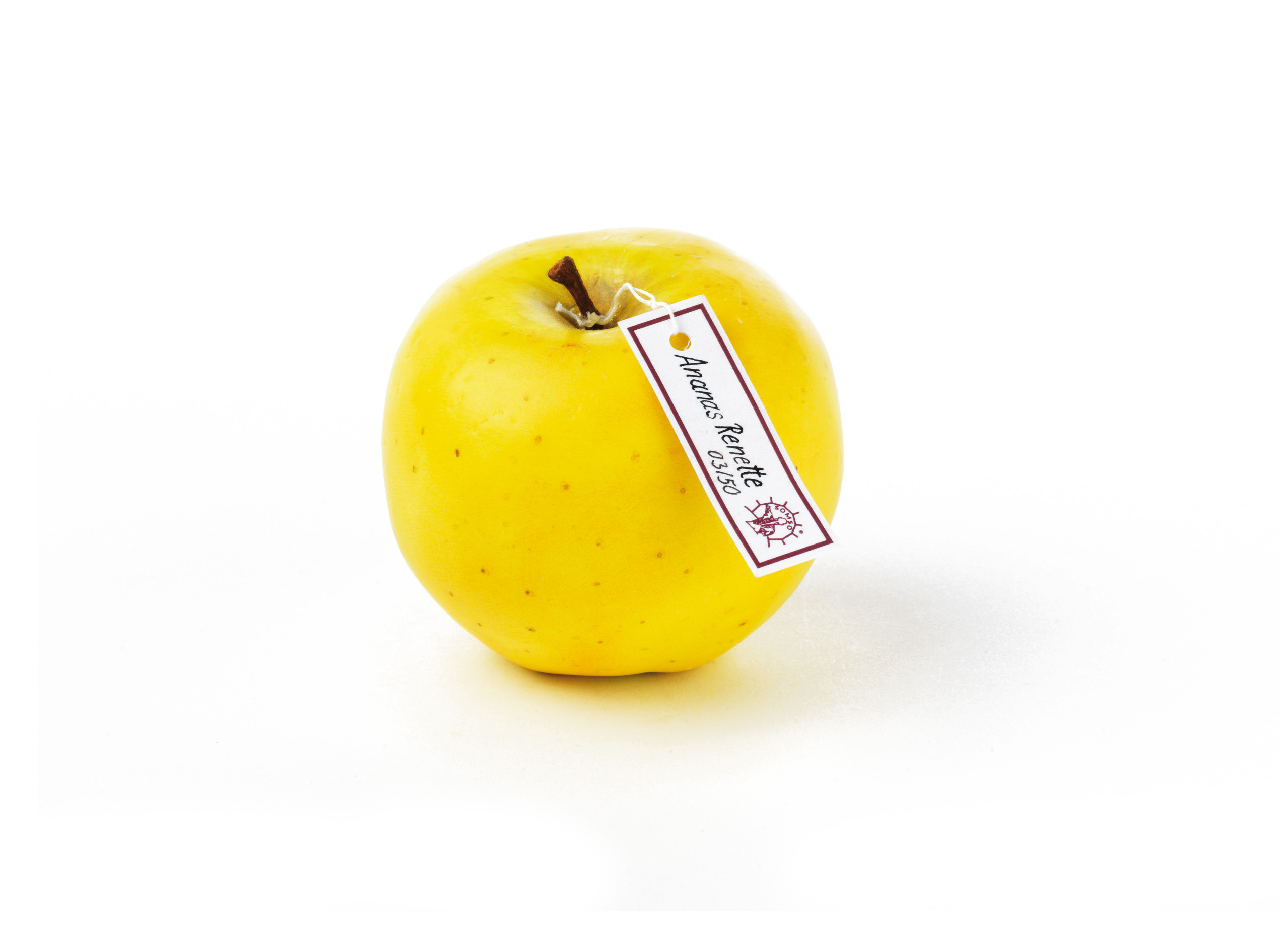 Ananas Reinette - Adam,Rouilly