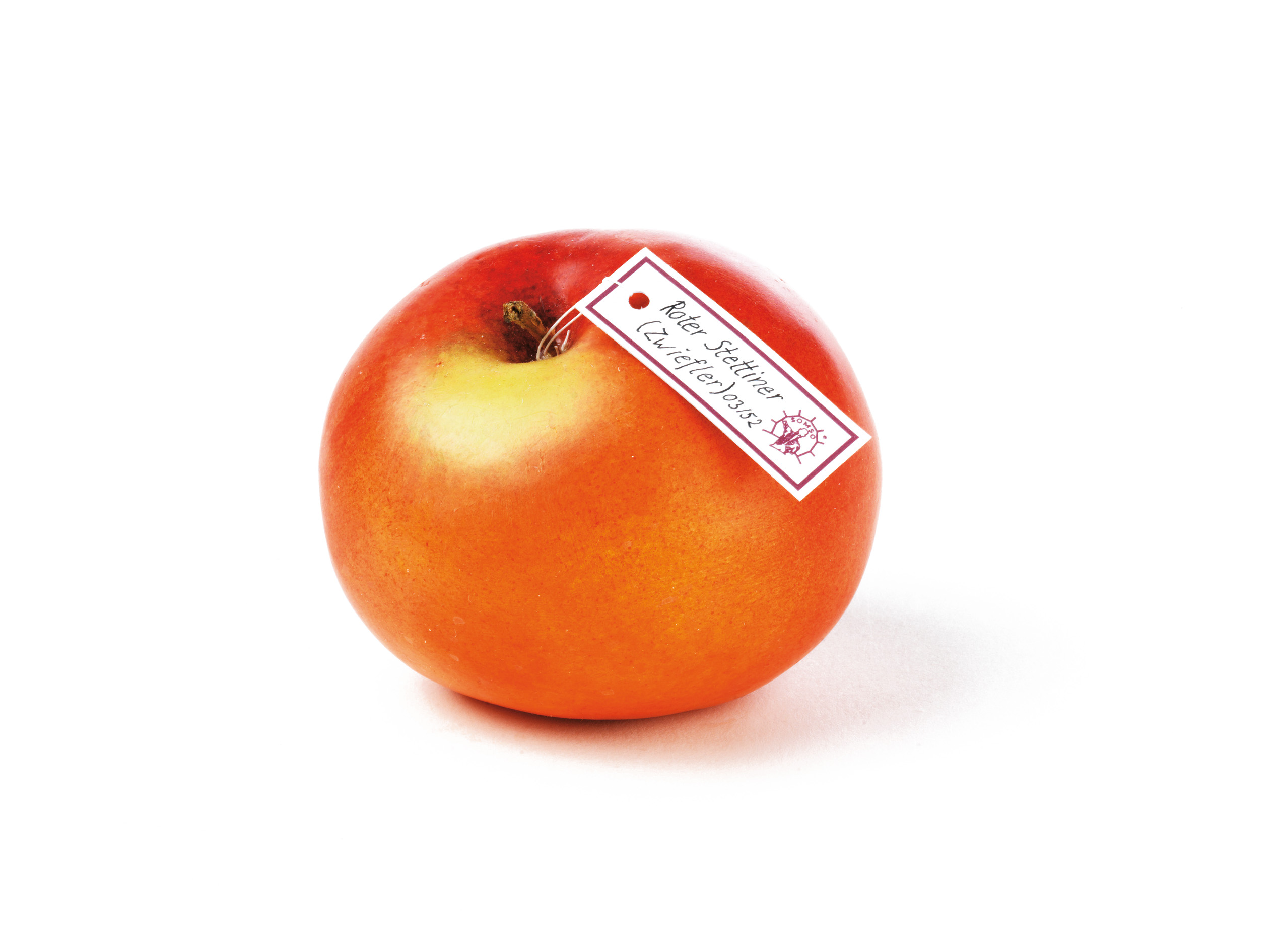 Roter Stettiner - Adam,Rouilly