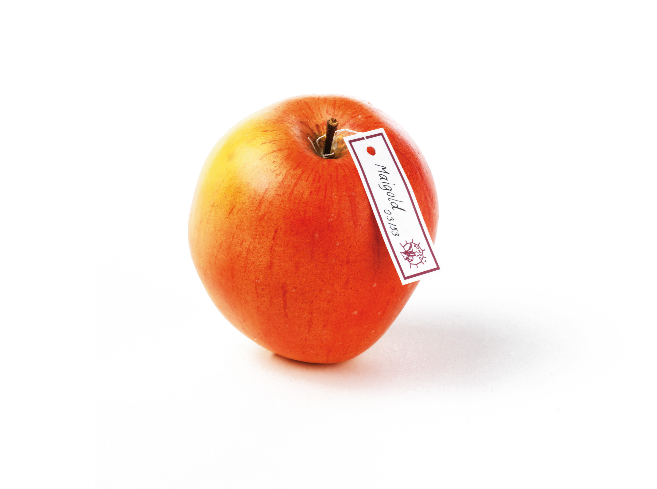 Maigold - Adam,Rouilly