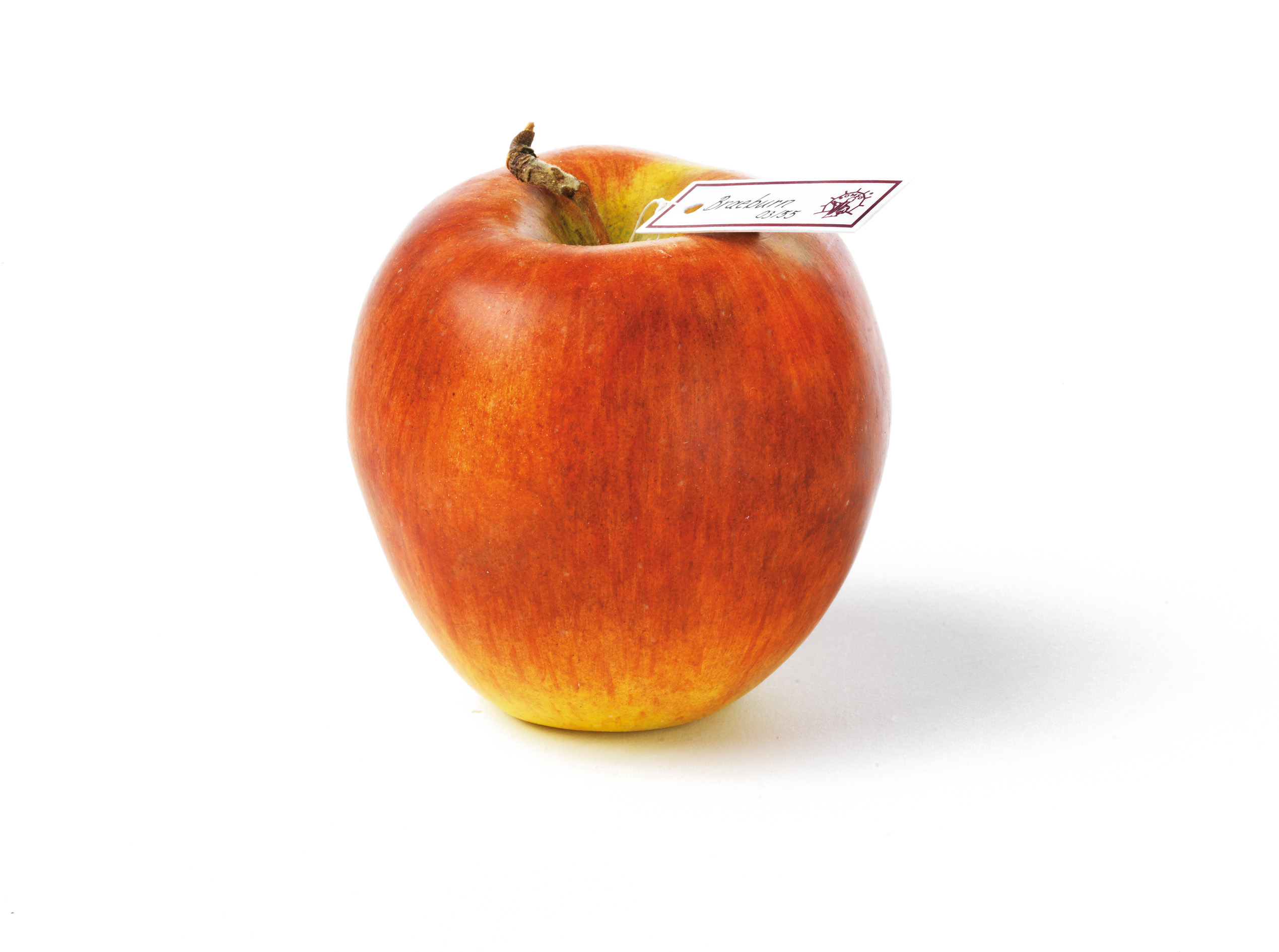 Braeburn - Adam,Rouilly