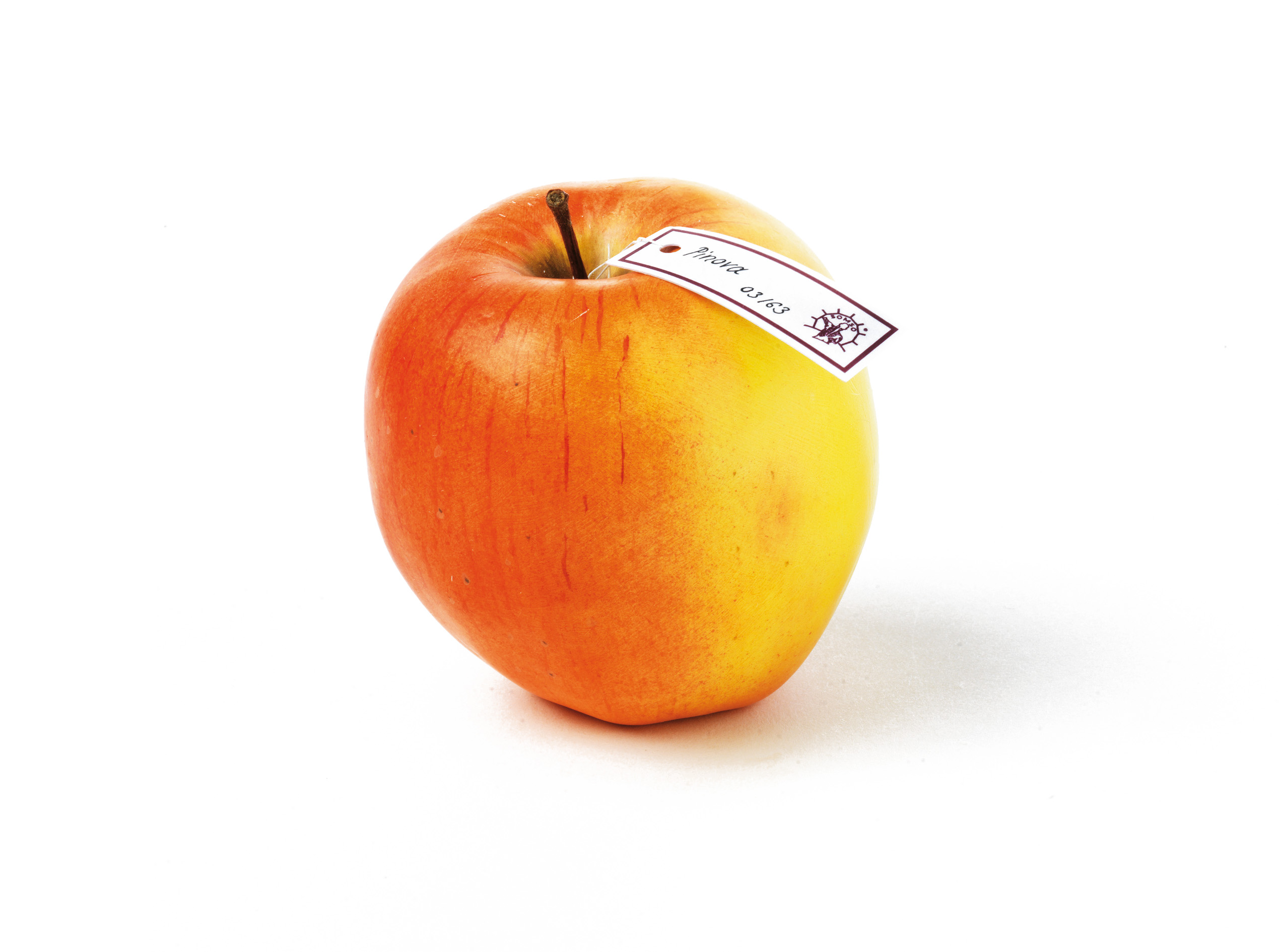 Pinova - Adam,Rouilly