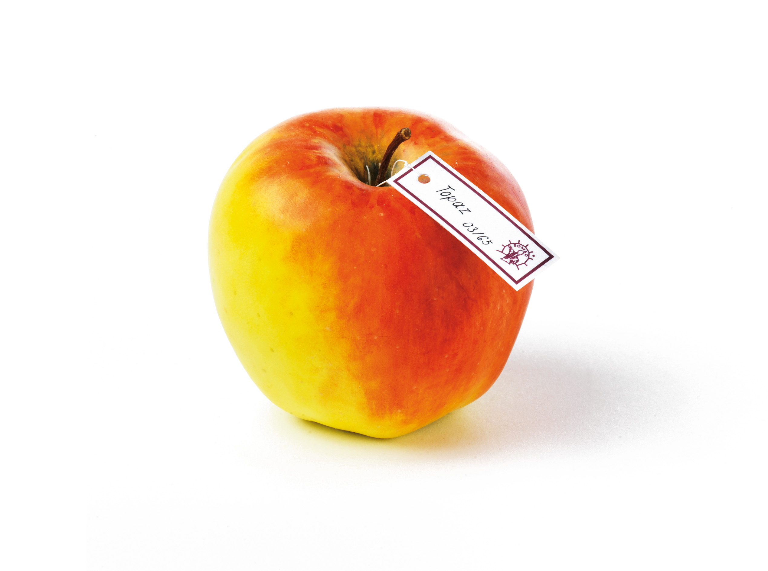 Topaz - Adam,Rouilly