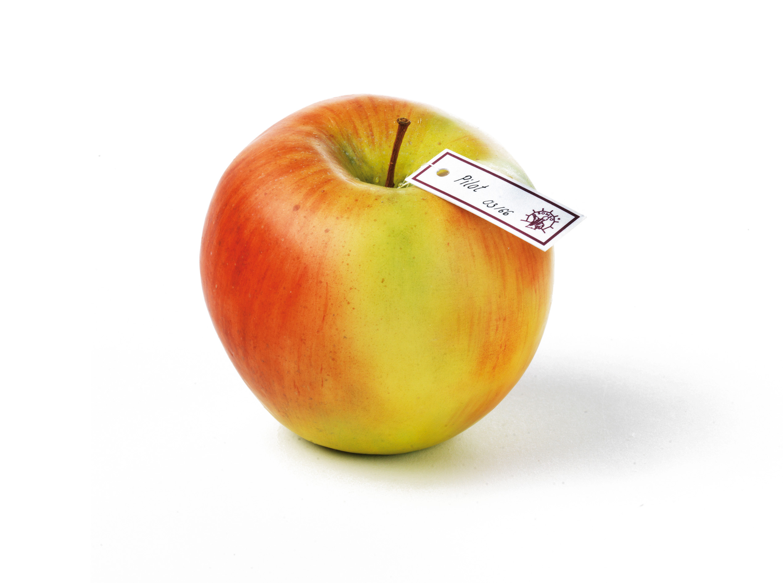 Pilot - Adam,Rouilly