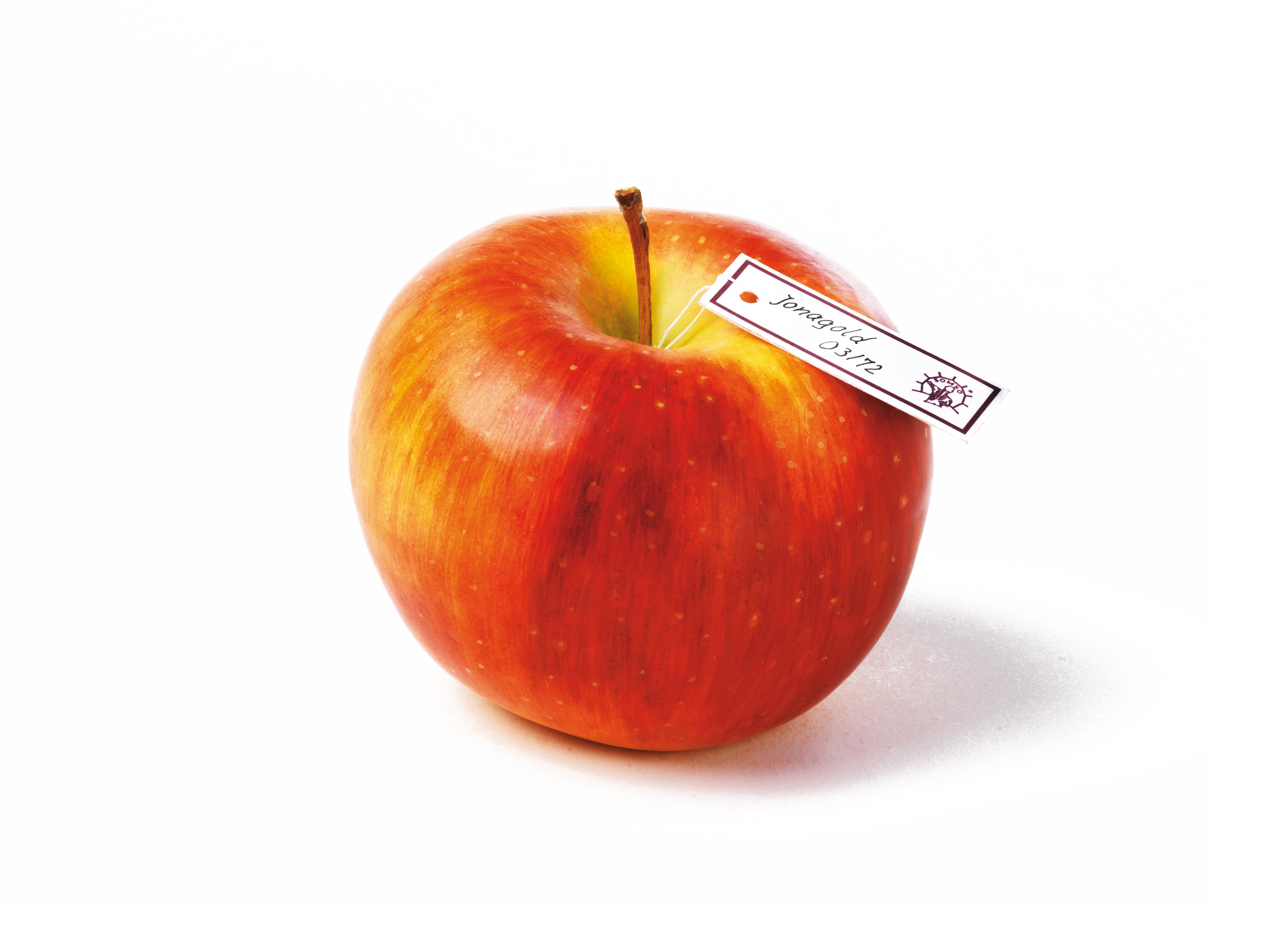 Jonagold - Adam,Rouilly