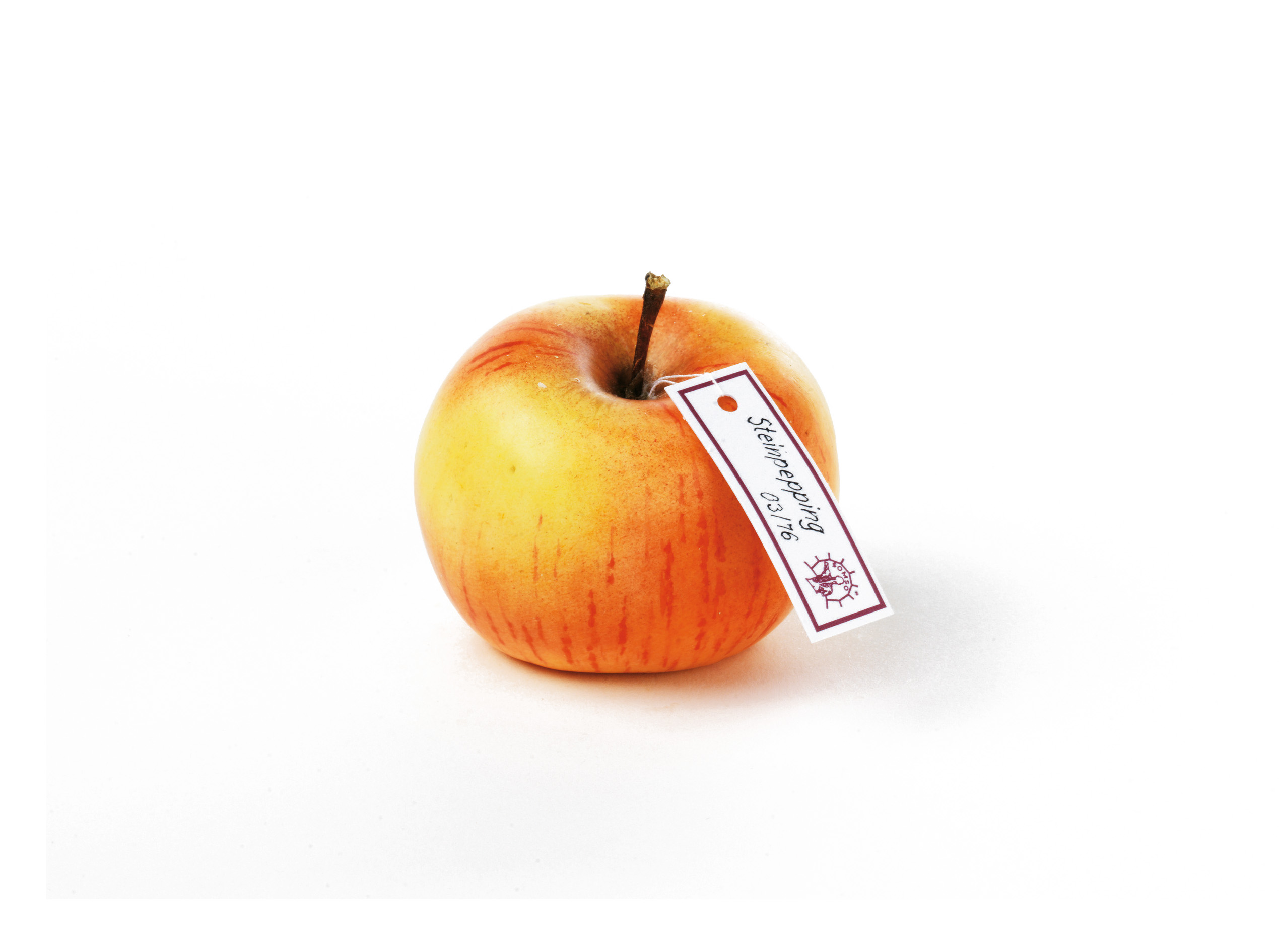 Stone Pippin - Adam,Rouilly