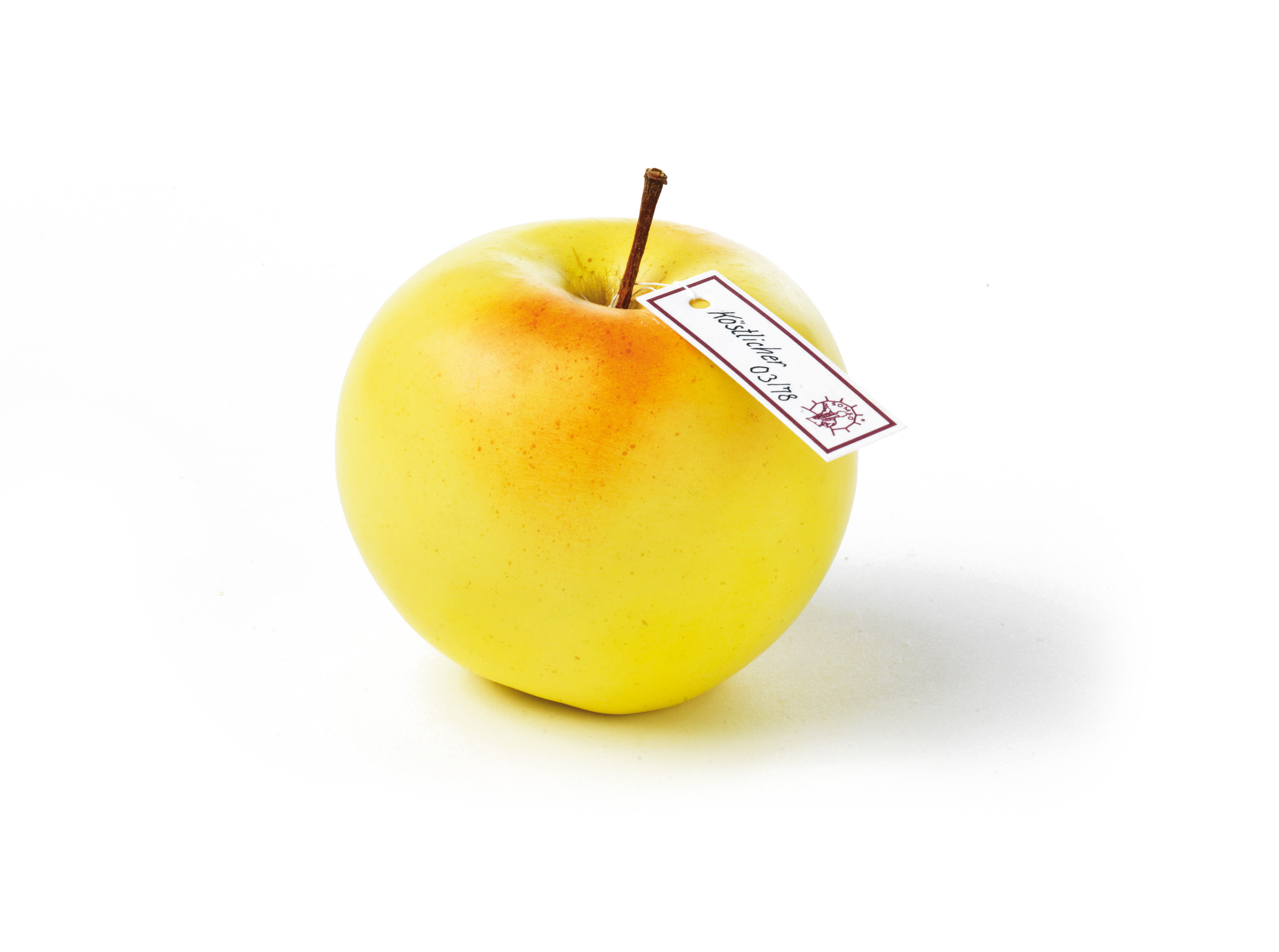 Delicious - Adam,Rouilly