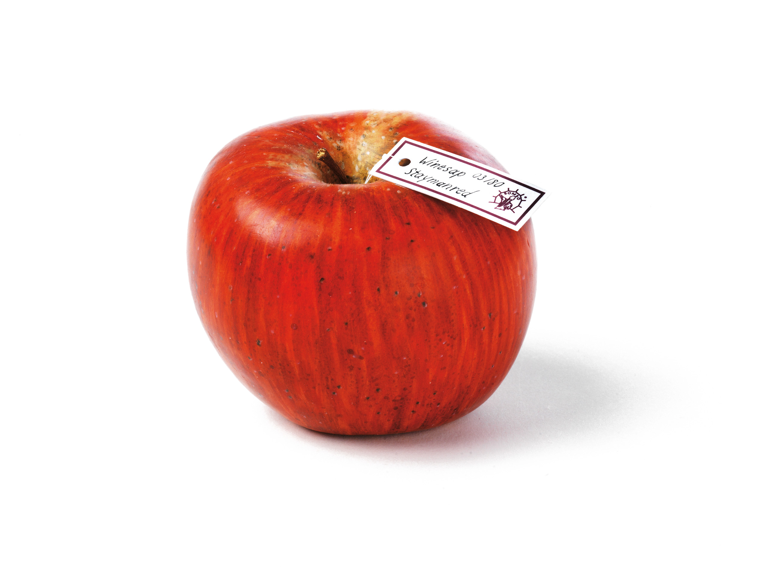 Stayman Winesap - Adam,Rouilly