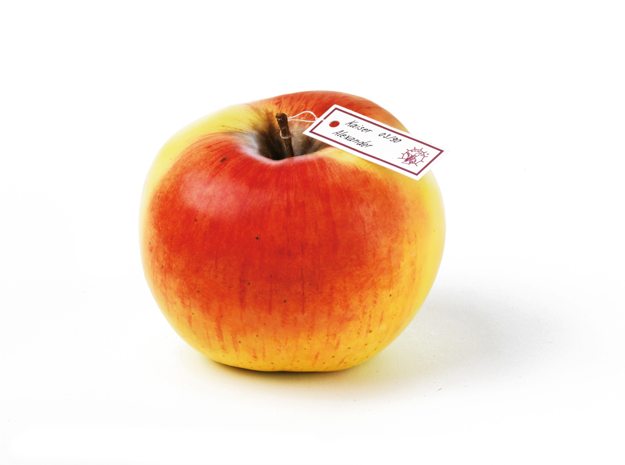 Alexander Apple - Adam,Rouilly