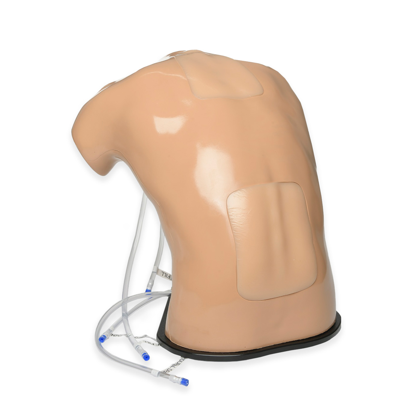 Lumbar Puncture And Spinal Epidural Ultrasound Training Model Adam
