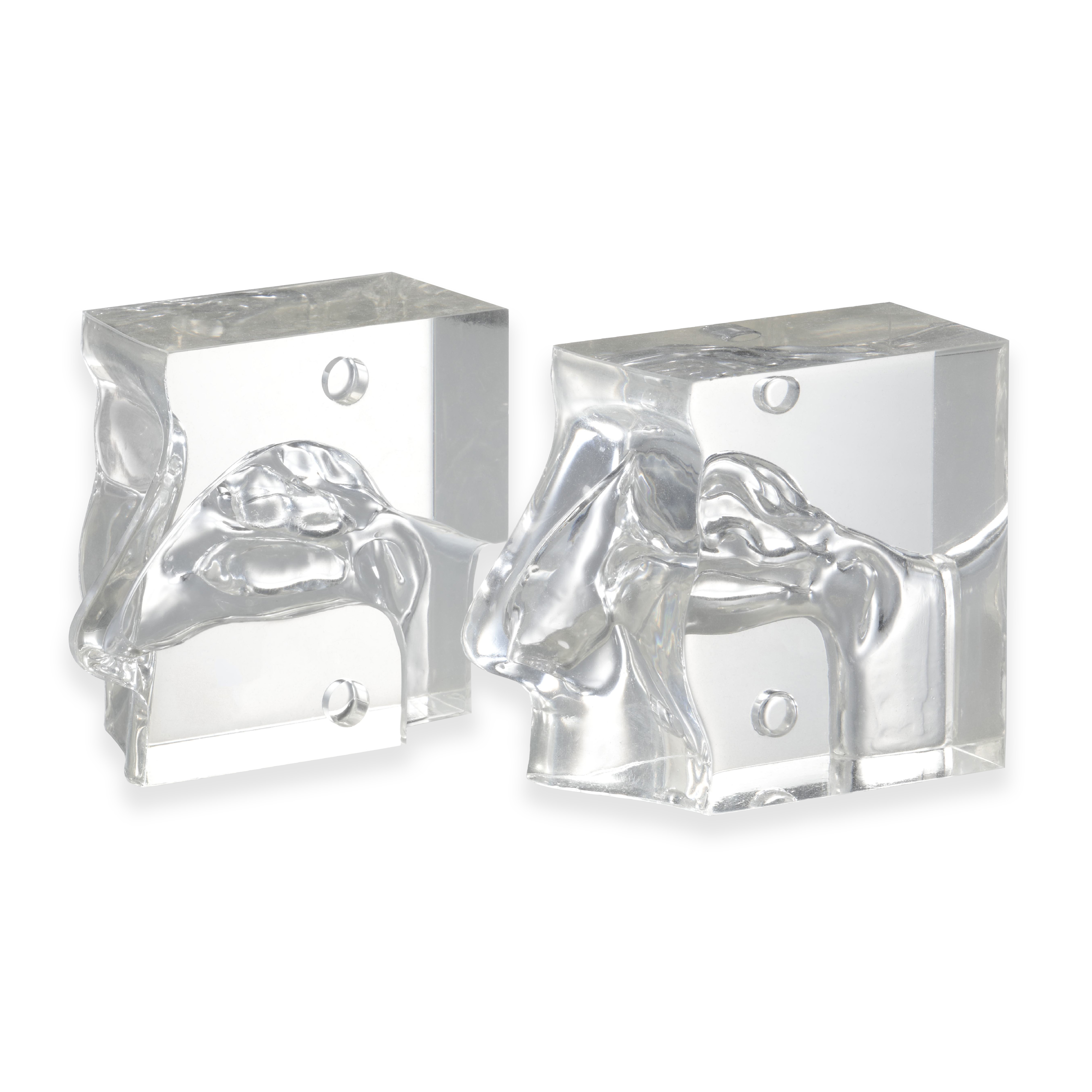 Sakamoto Transparent Nasal Cavity Model | Adam,Rouilly