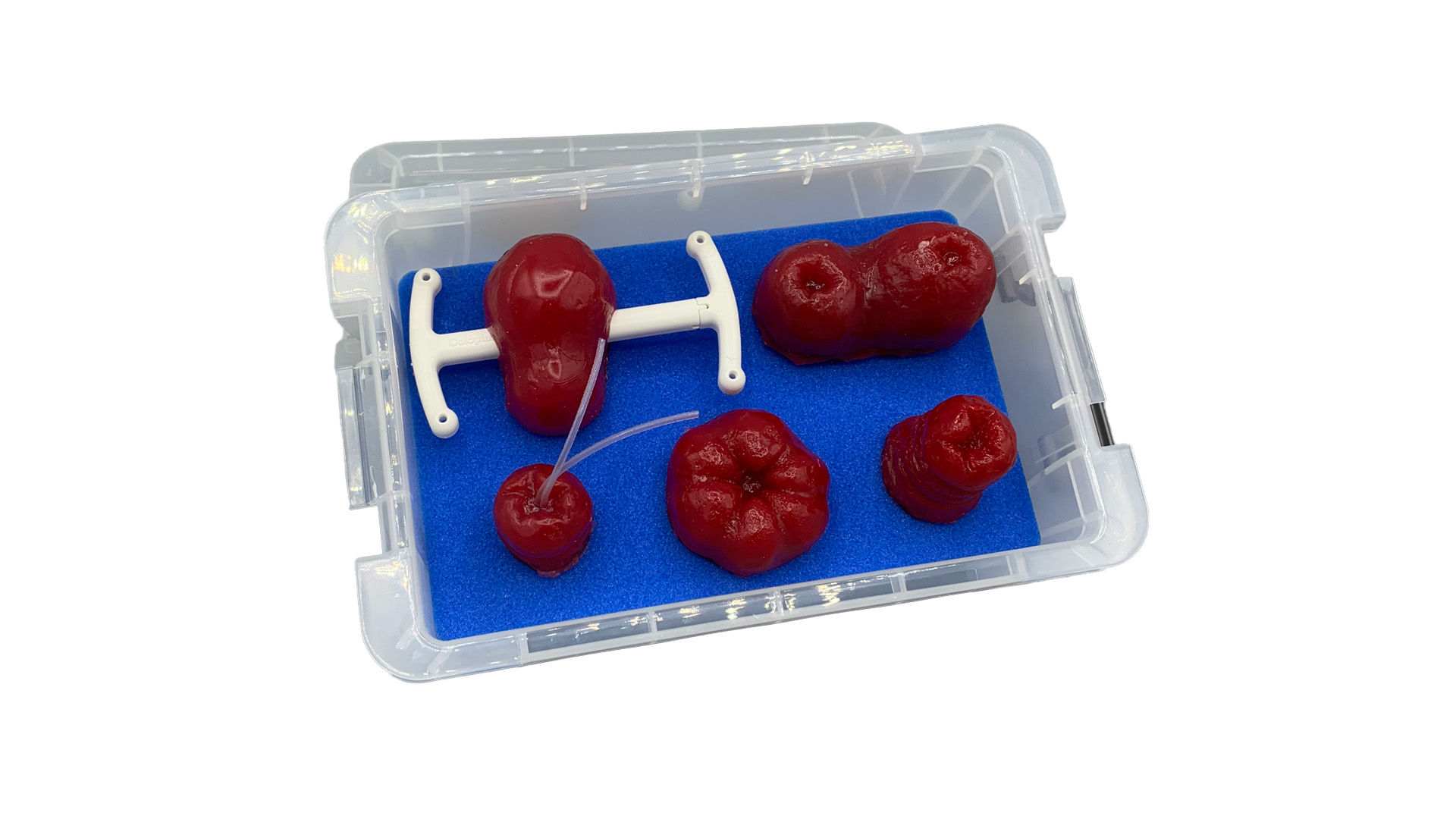 Set of Stomas for AR150 - Adam,Rouilly