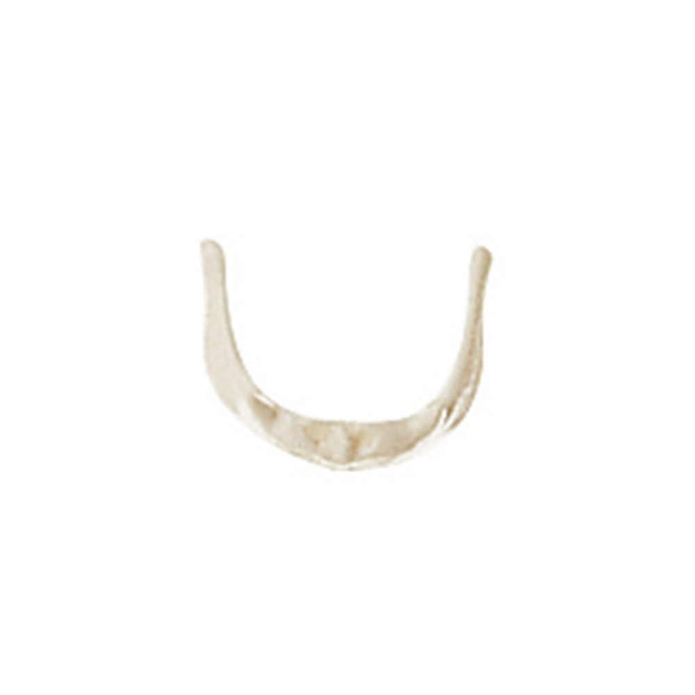 Hyoid Bone - Adam,Rouilly