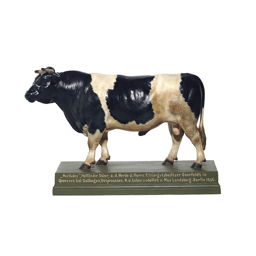 Herkules, Dutch Bull - Adam,Rouilly