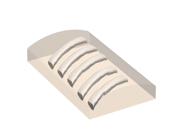 Ultrasound Phantom - Bone Fracture, Light | Adam,Rouilly