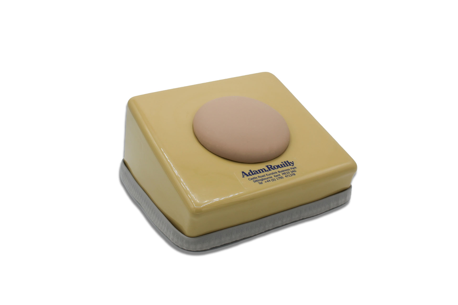 Clinical Skills Simulators | Adam,Rouilly