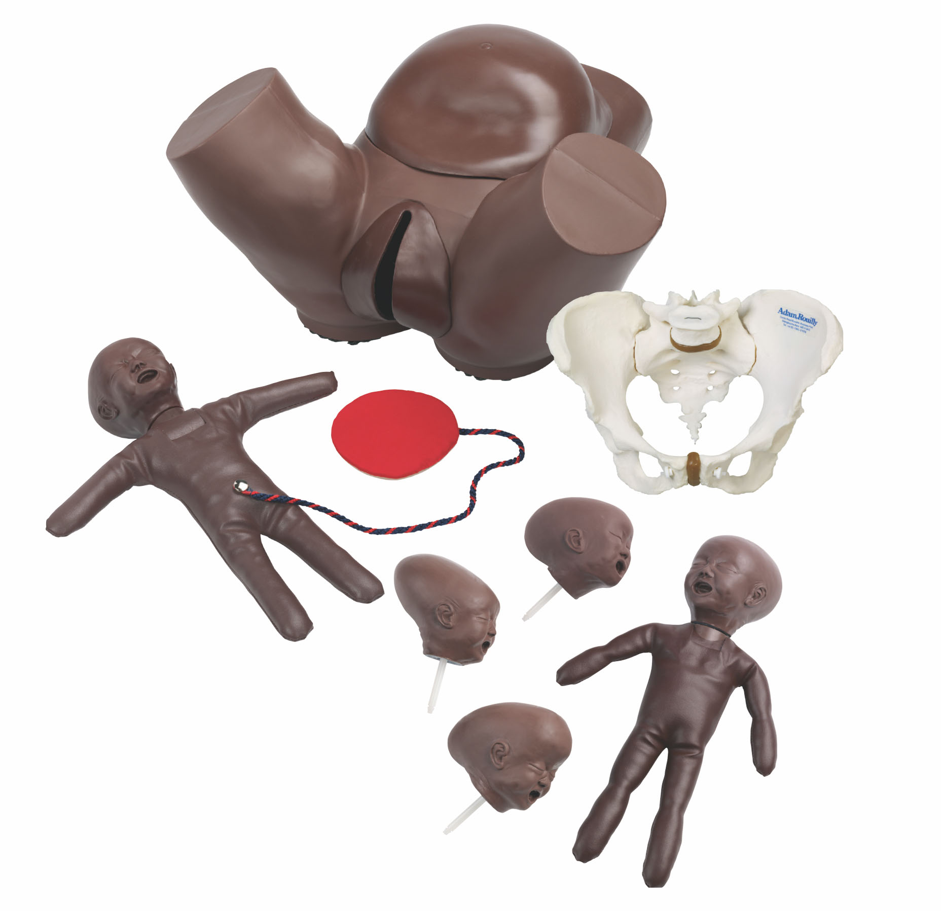 Obstetric Phantom Set, Dark | Adam,Rouilly