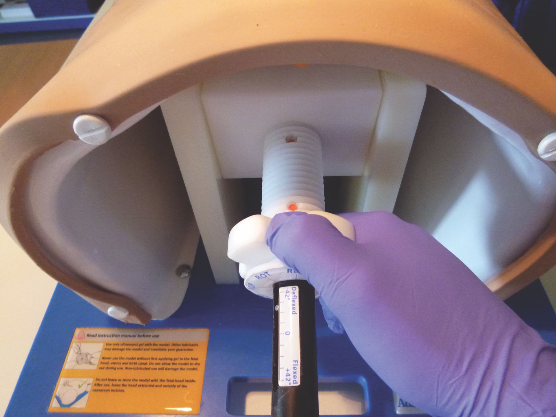 DISCONTINUED AR58 Desperate Debra® – Impacted Fetal Head Simulator ...