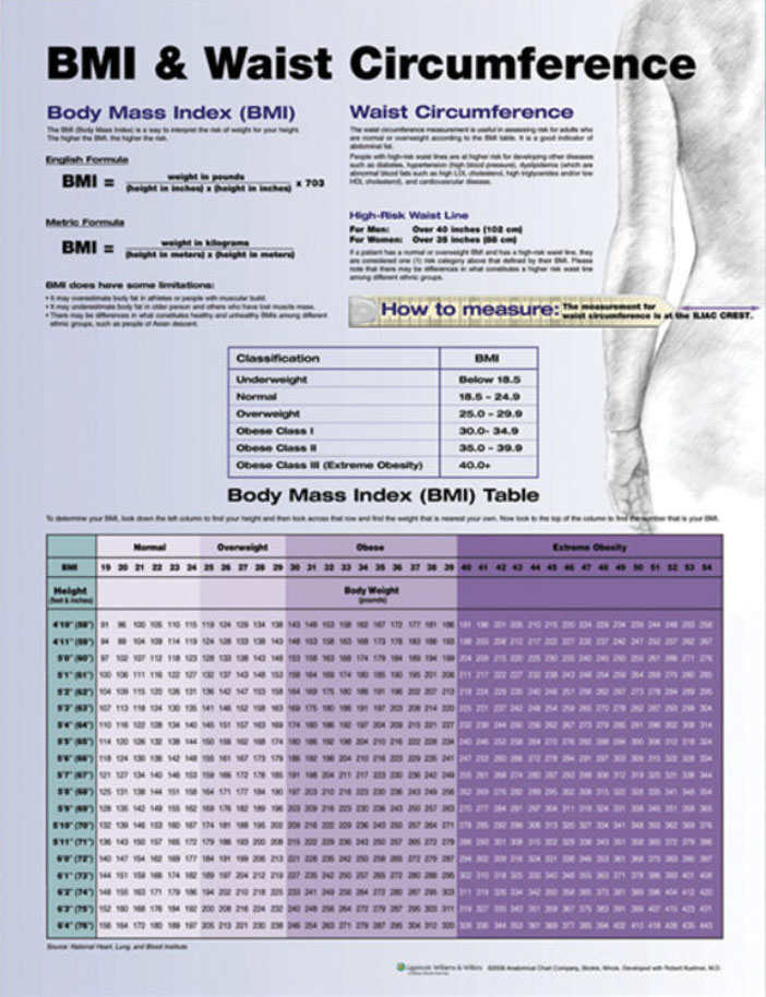 Bmi and Waist Circumference Chart - Adam,Rouilly