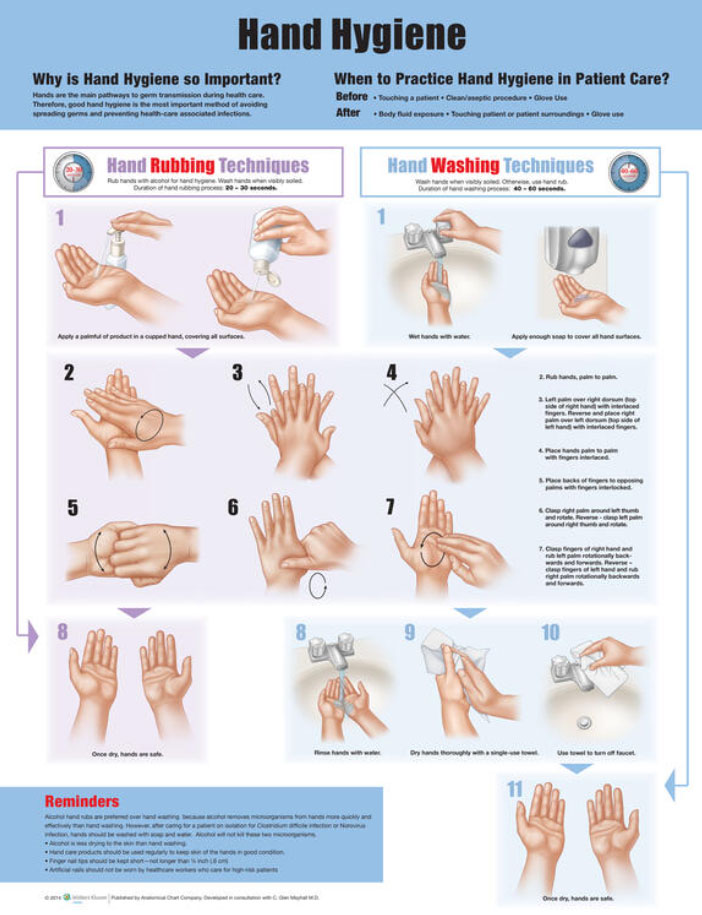Hand Hygiene - Adam,Rouilly