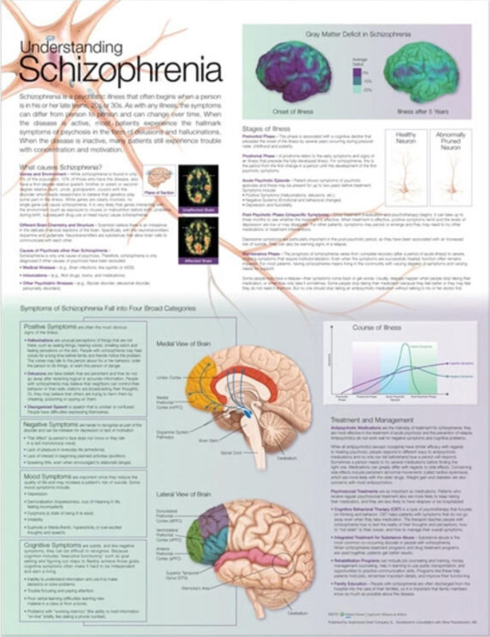 Understanding Schizophrenia Chart - Adam,Rouilly