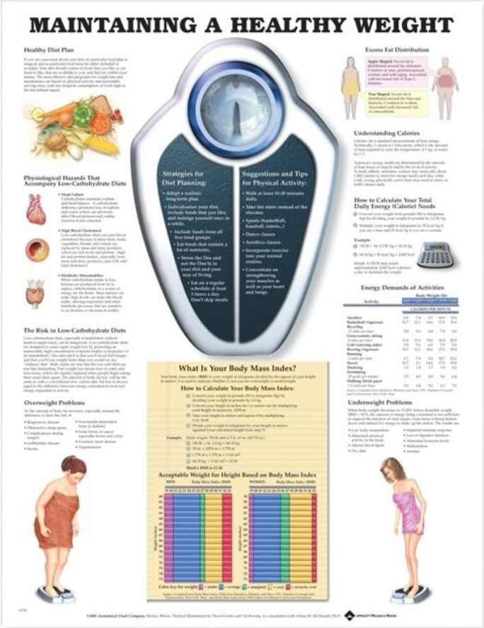 Maintaining a Healthy Weight Chart - Adam,Rouilly