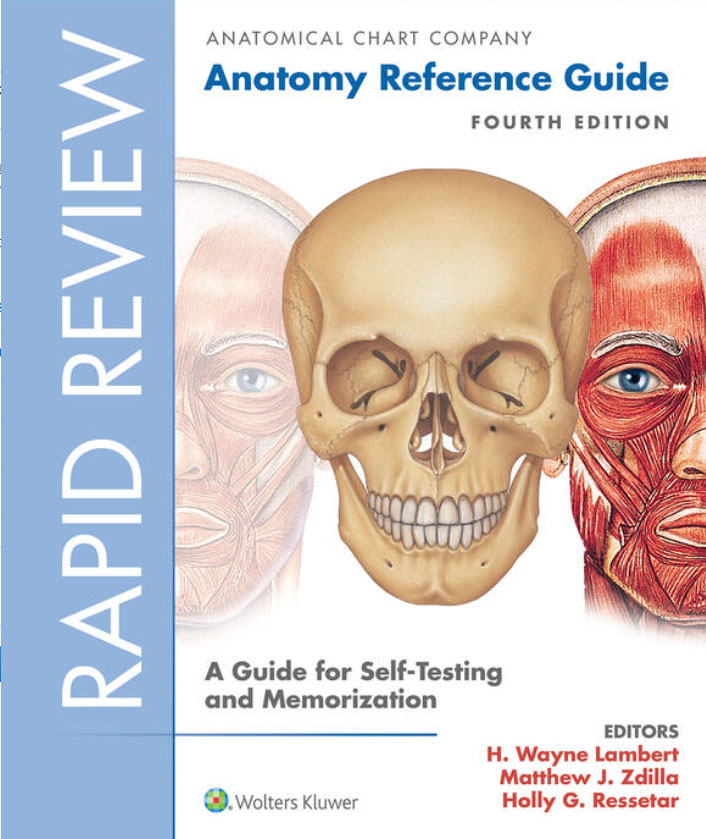 Rapid Review: Anatomy Reference Guide Charts (Wire Bound) - Adam,Rouilly