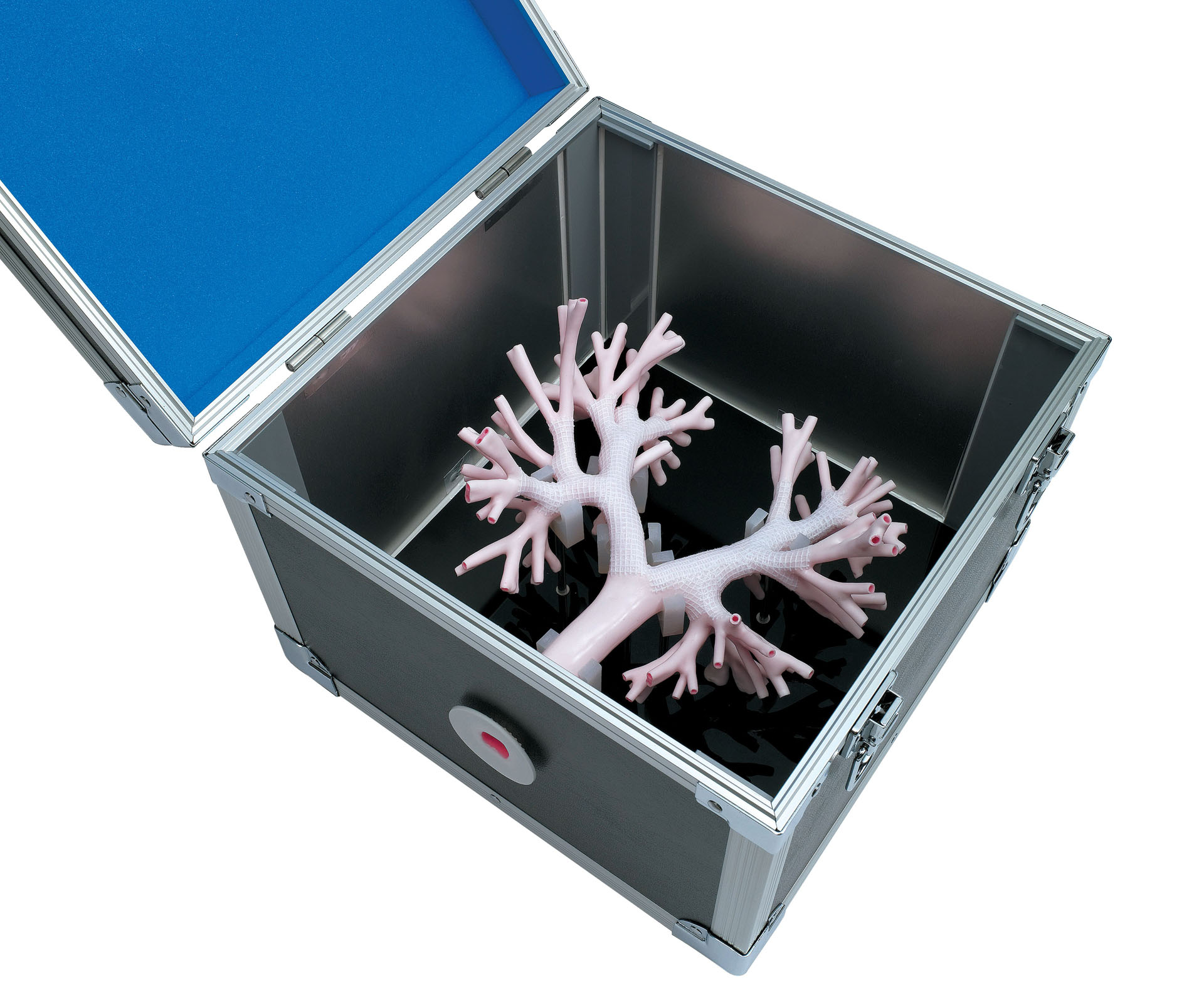 Koken Bronchoscopy Training Model | Adam,Rouilly