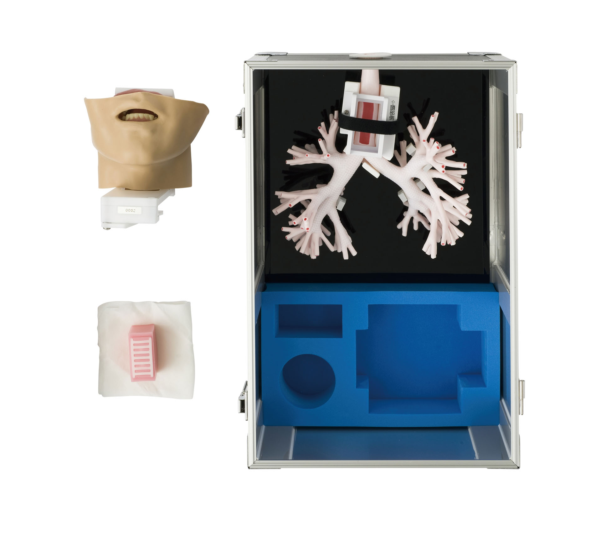 Koken Ultrasonic Bronchoscopy Simulator | Adam,Rouilly