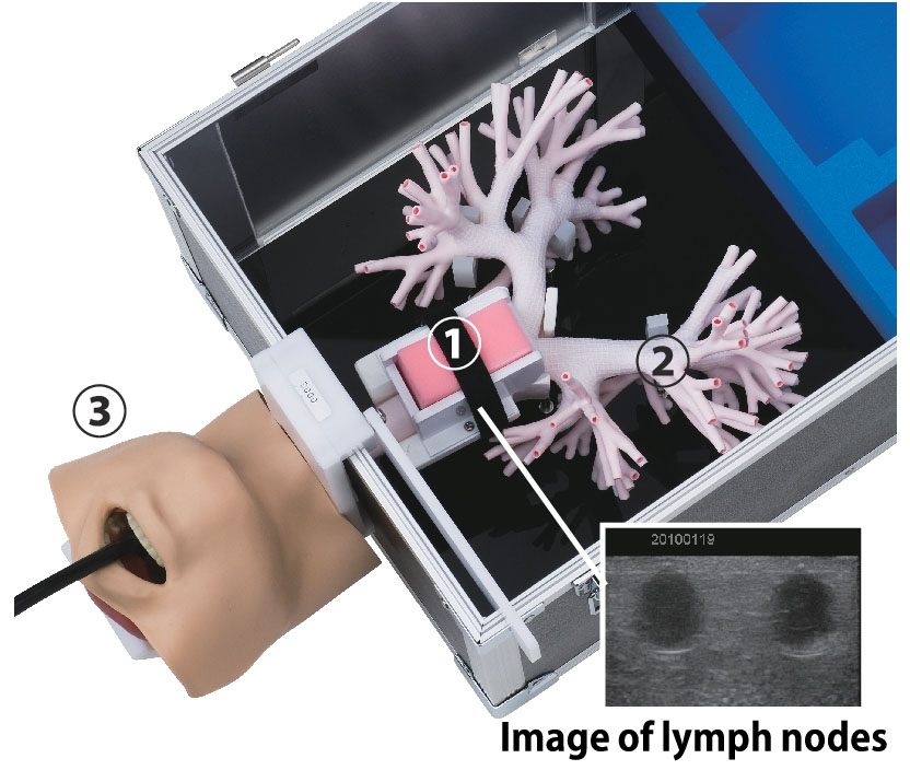 Koken Ultrasonic Bronchoscopy Simulator | Adam,Rouilly