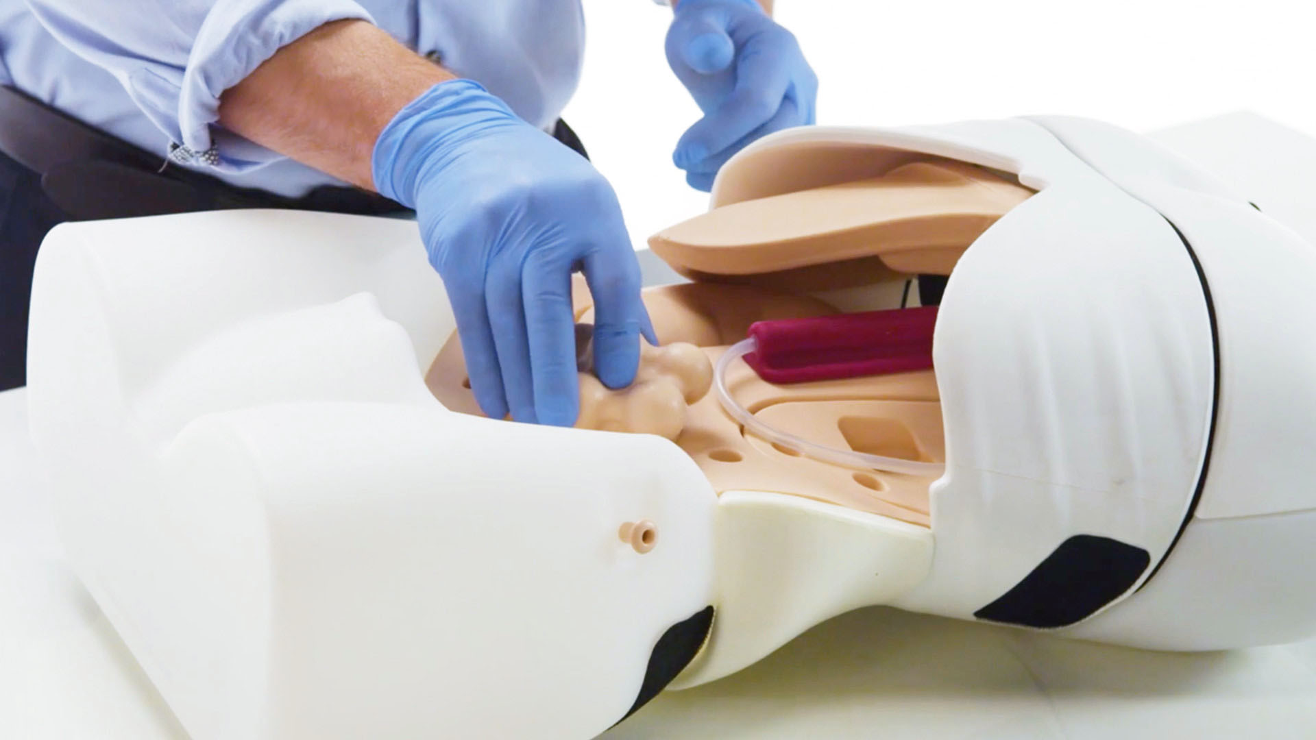 Abdominal Examination Trainer - Adam,Rouilly