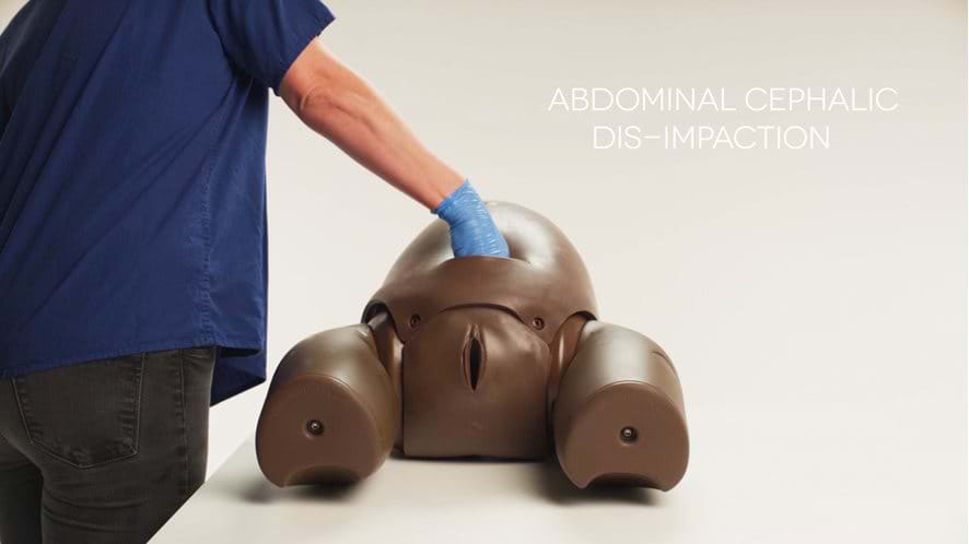 Prompt Flex Enhanced Caesarean Section Module, Light (Ecsm) - Adam,Rouilly