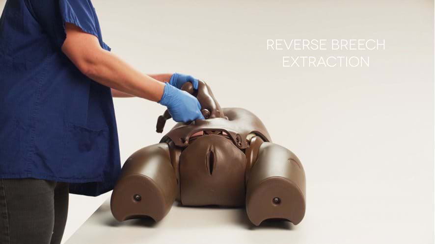 Prompt Flex Enhanced Caesarean Section Module, Light (Ecsm) - Adam,Rouilly