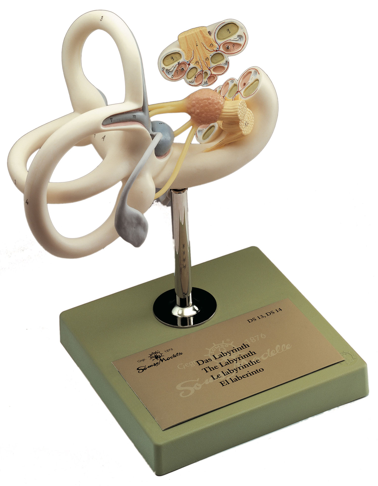 Labyrinth - Adam,Rouilly