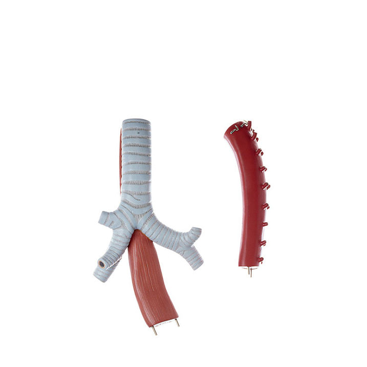 Heart (Lecture Theatre Model) - Adam,Rouilly