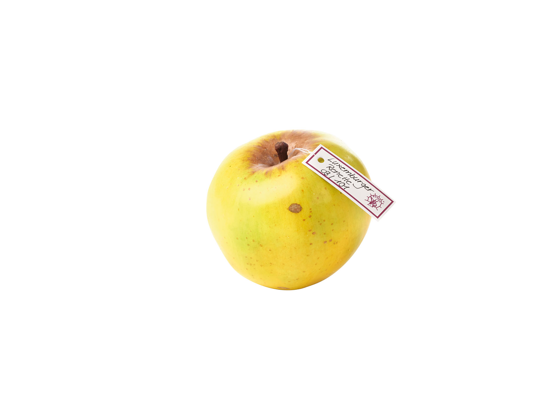 Luxemburger Renette - Adam,Rouilly