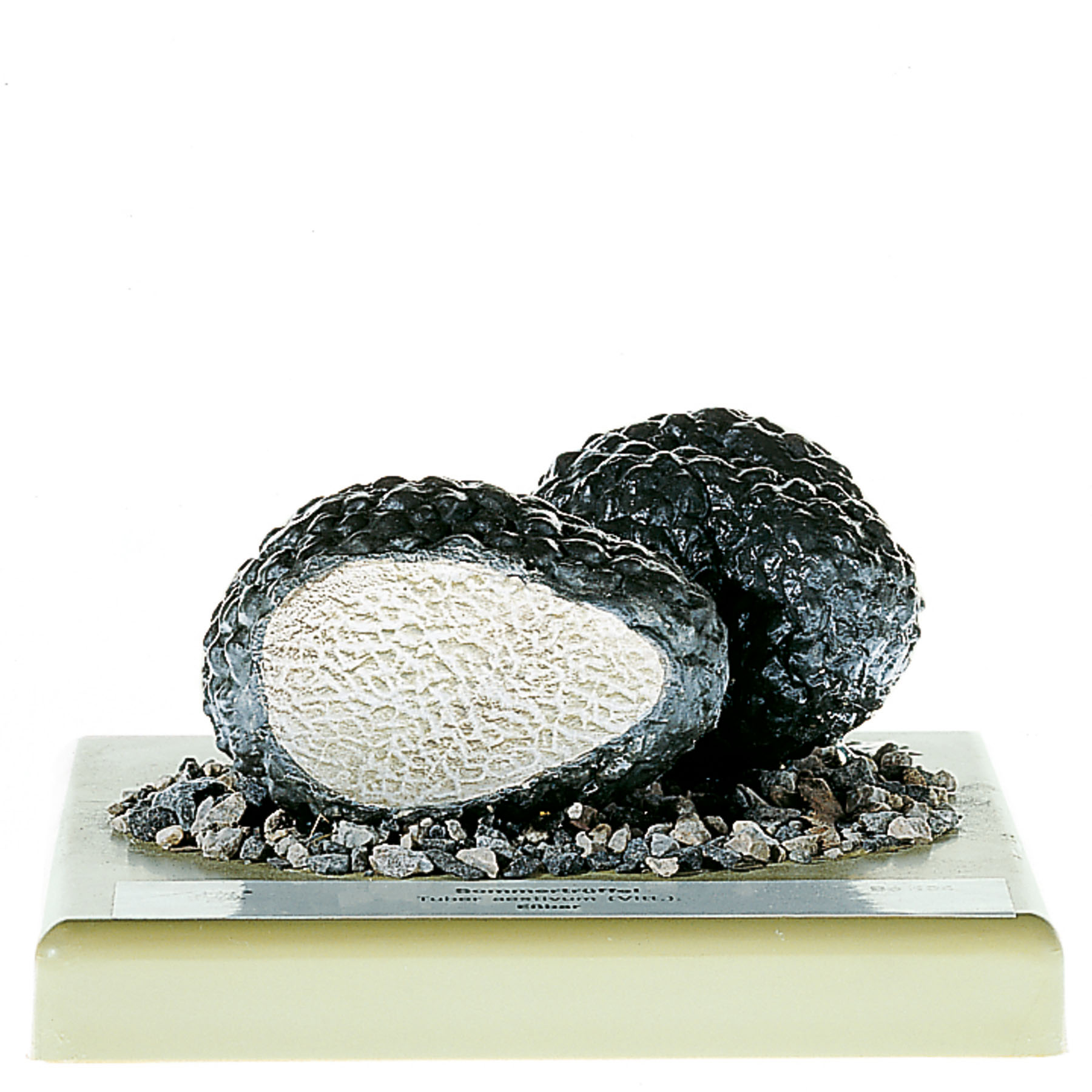 Summer Truffle - Adam,Rouilly