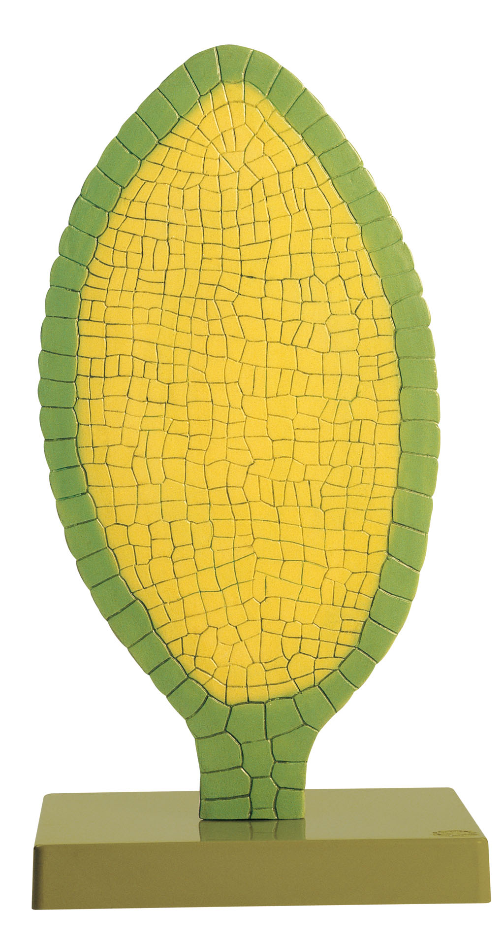 Liverwort - Adam,Rouilly