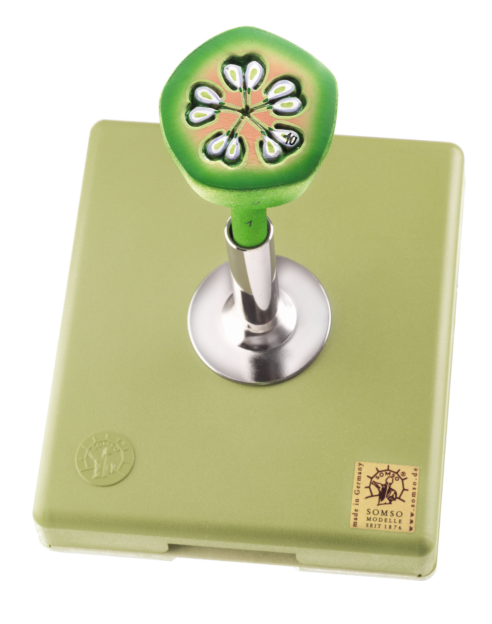 Apple Blossom - Cross Section of the Ovary - Adam,Rouilly